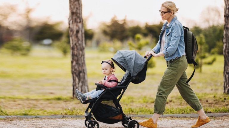 VTech Sit-To-Stand Learning Walker - Pro Baby Guide